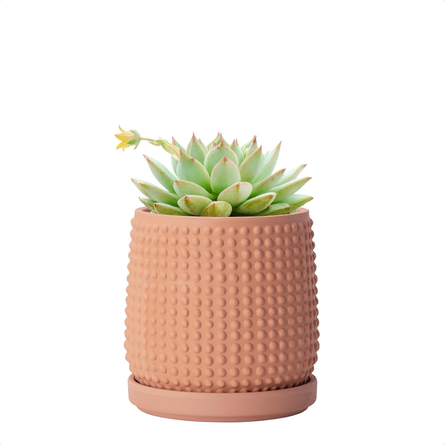 4 Inch Terracotta Beaded Planter Pot - Flower Pot with Drainage Holes ...