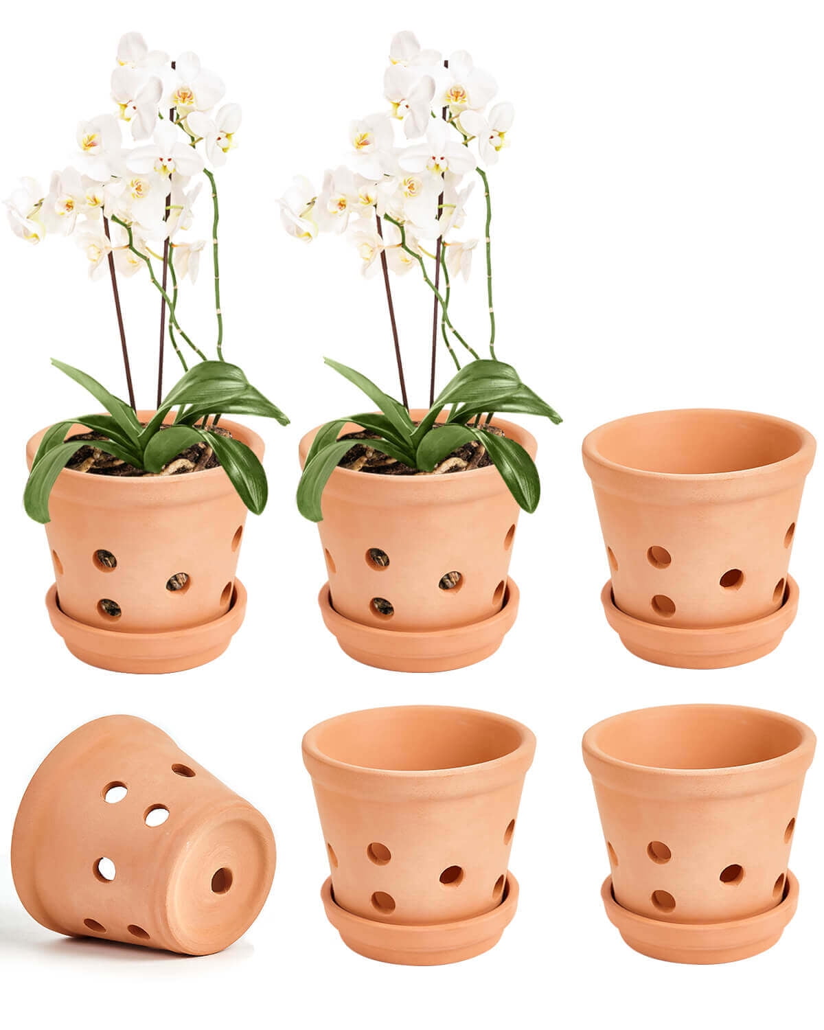4 Inch Terracotta Orchid Pots with Holes and Saucers - 6 Pcs Small Clay ...