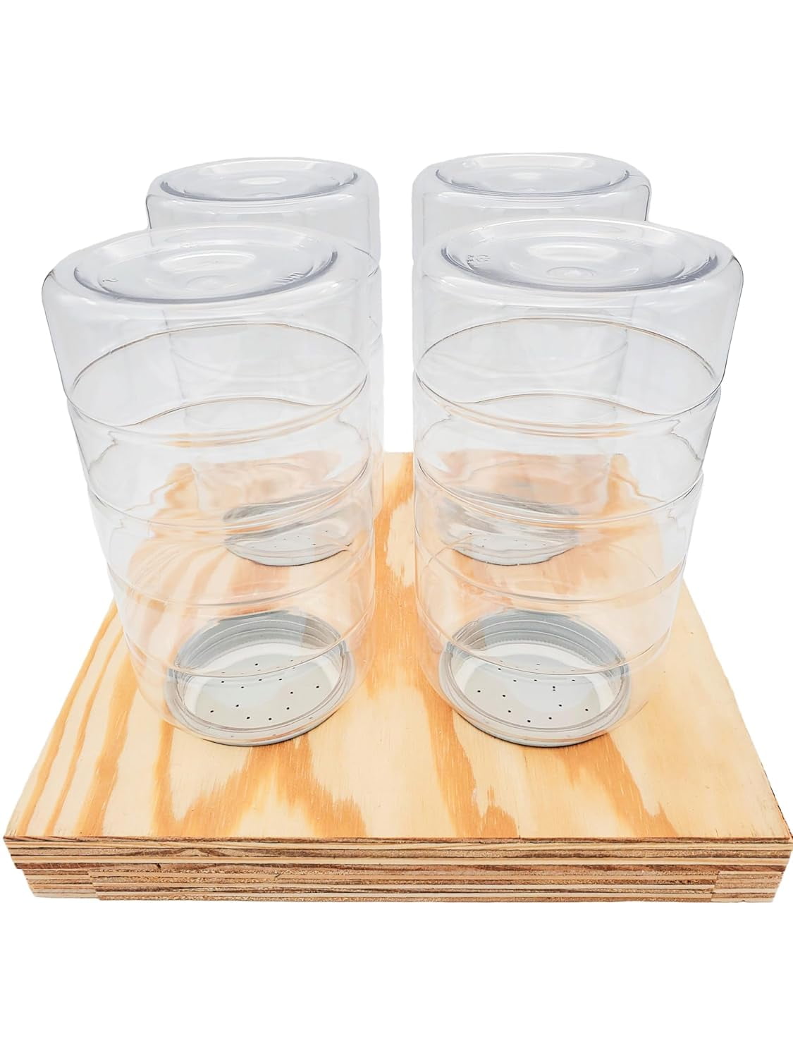 4 Jar Universal Hive Top Feeder for Healthy Colonies, Easy Feeding, and ...