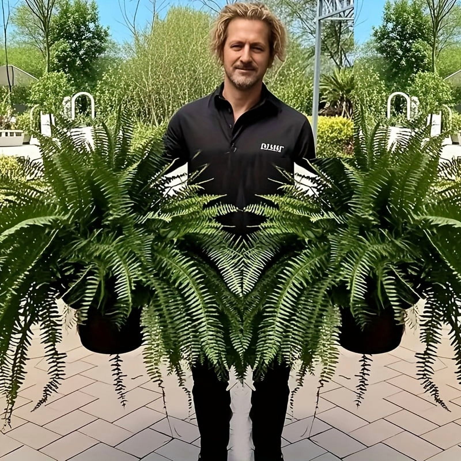 4 Large Boston Fern Greenery - 34-Inch Artificial Plants | Outdoor/Home ...