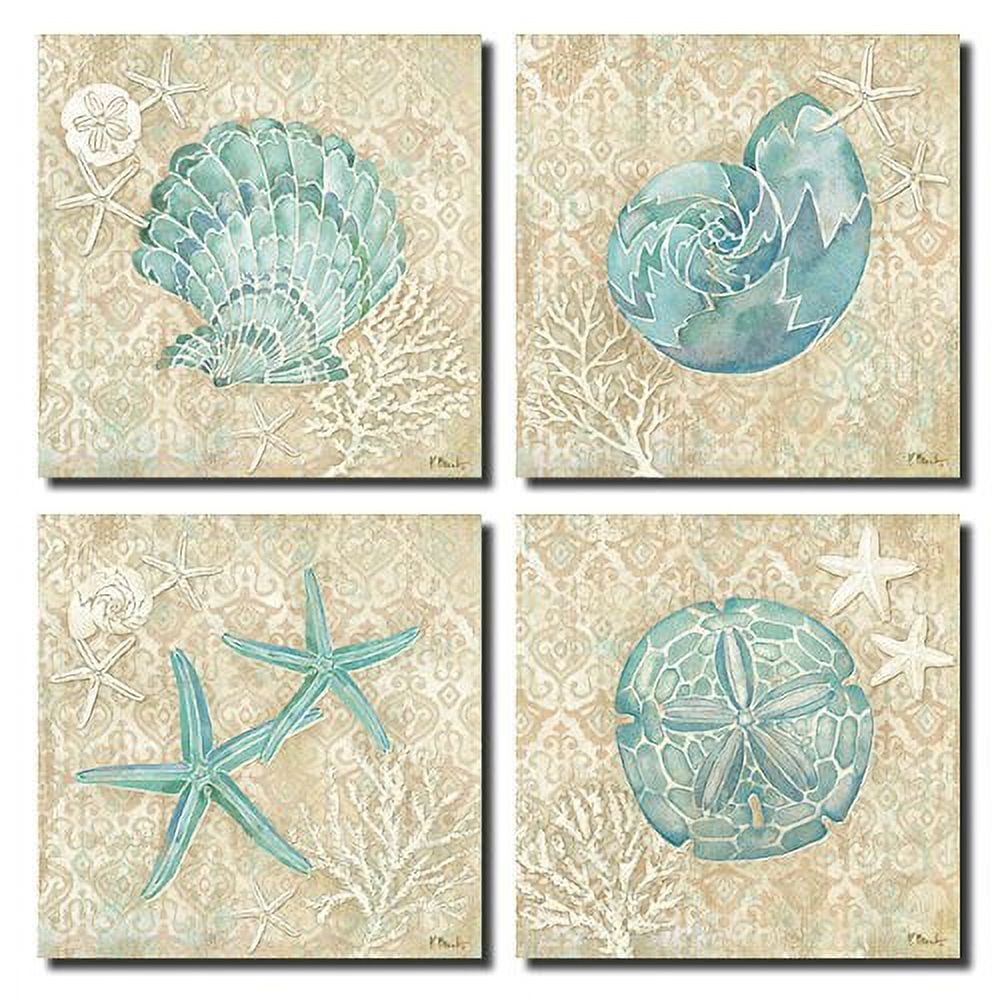 4 Lovely Teal and Brown Ocean Seashell Sand Dollar and Star Fish ...