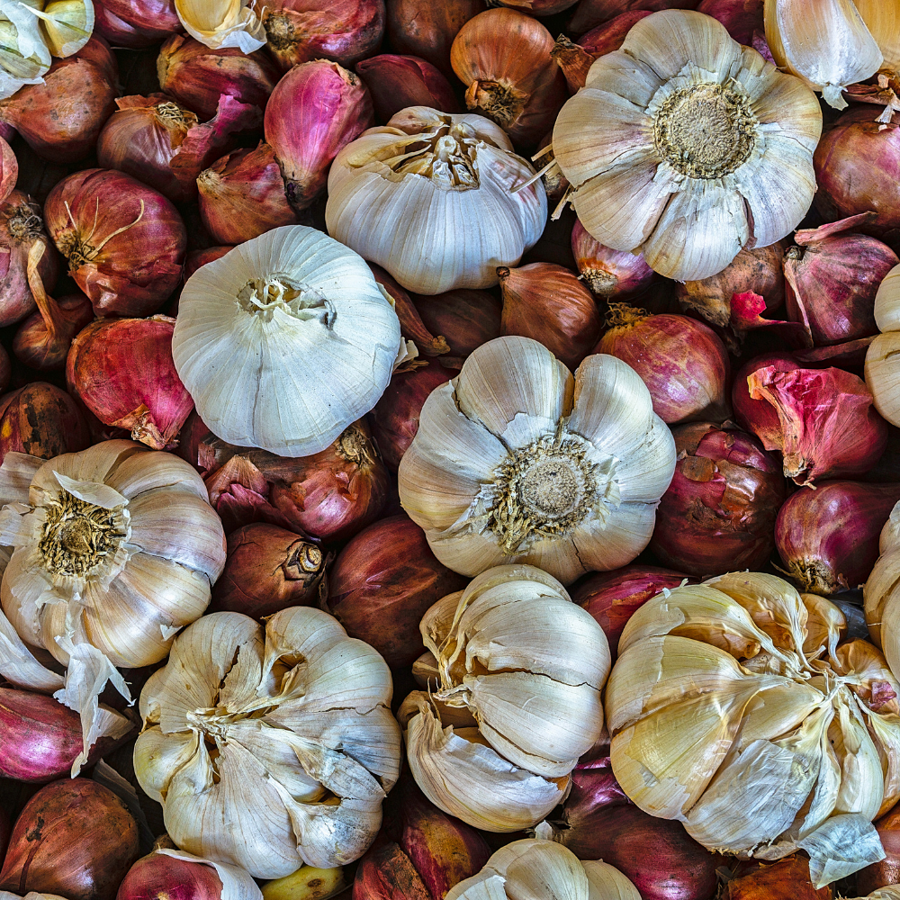 4 Mix Garlic Bulbs, Garlic Bulbs Easy to Plant, Garlic Bulbs for ...