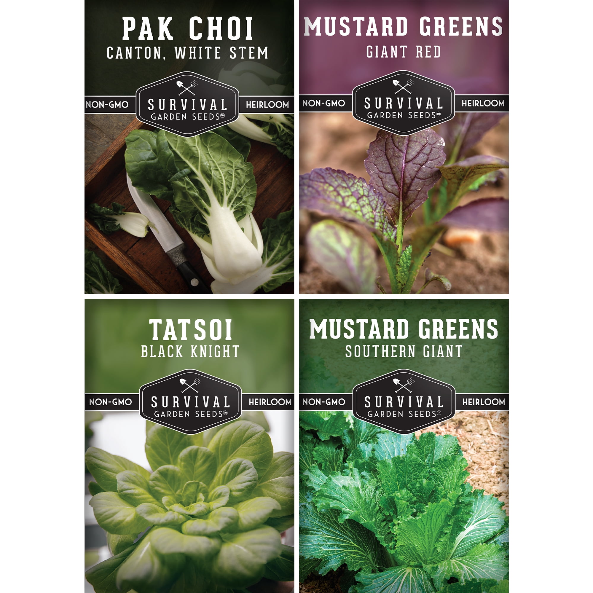 4 Mustard Greens Seeds Collection - GMO Free, Heirloom Full Sun ...