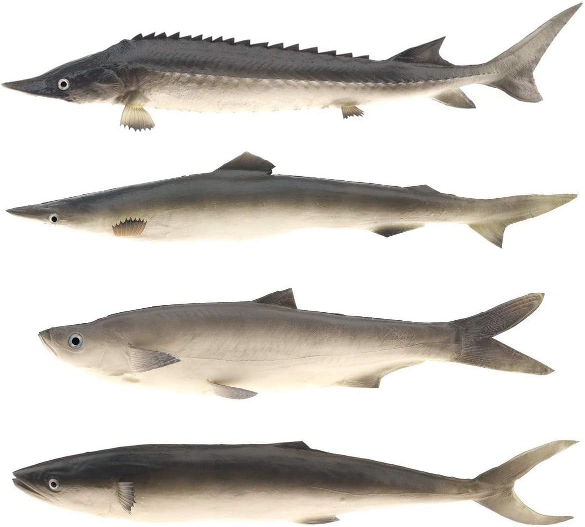 4 PCS 22 inch Fake Big Fish Decoration Artificial Shark Chinese ...