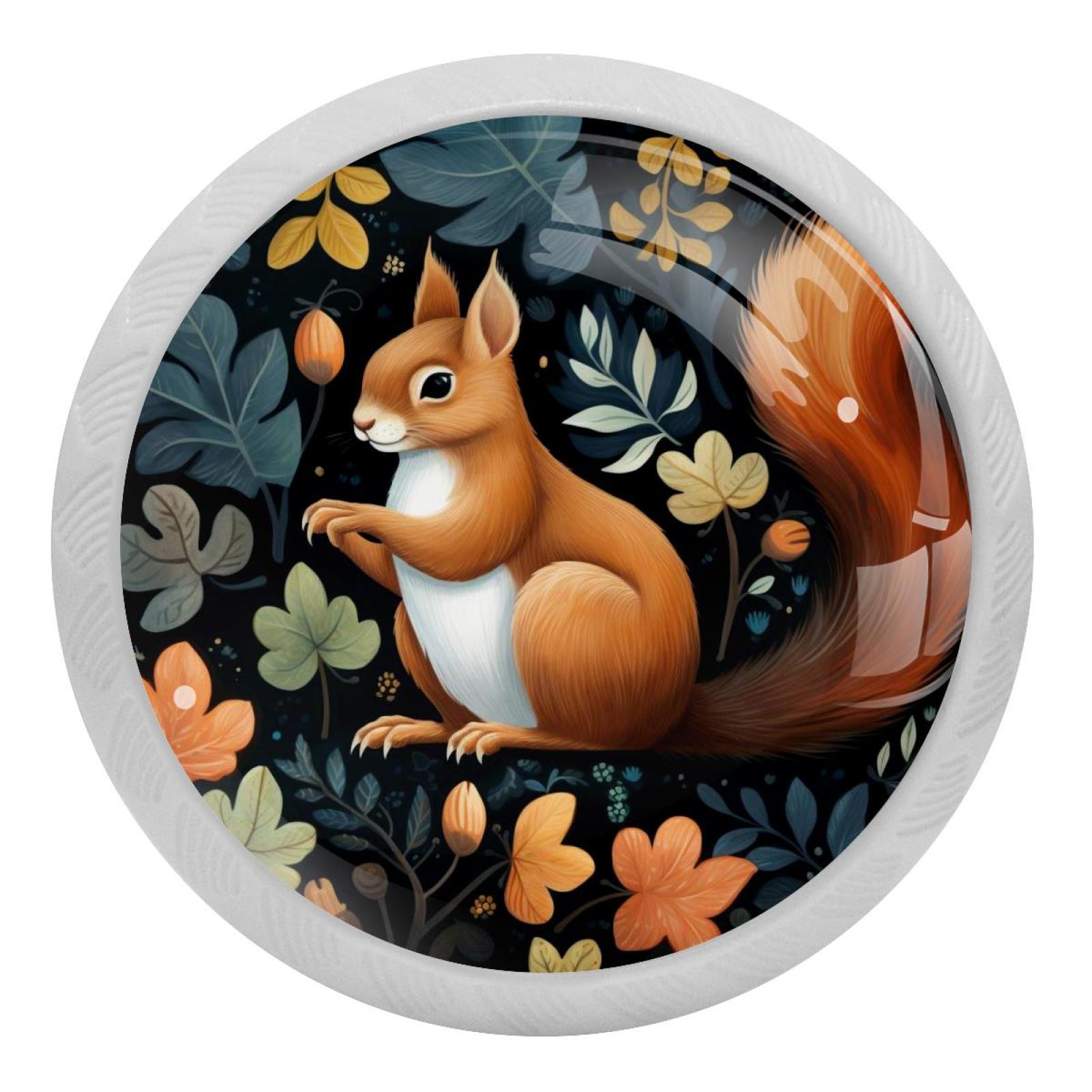 4 PCS Cute Squirrel Crystal Glass Round Cabinet Knob Drawer Pull Handle ...