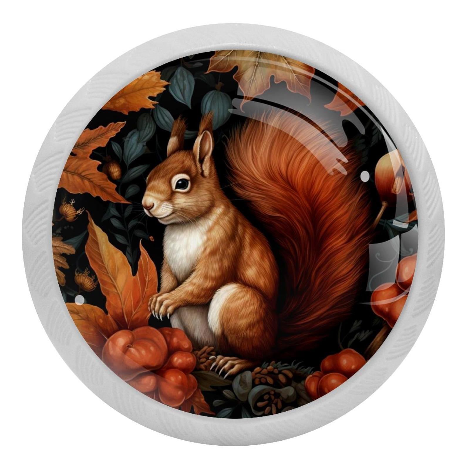 4 PCS Cute Squirrel Crystal Glass Round Cabinet Knob Drawer Pull Handle ...