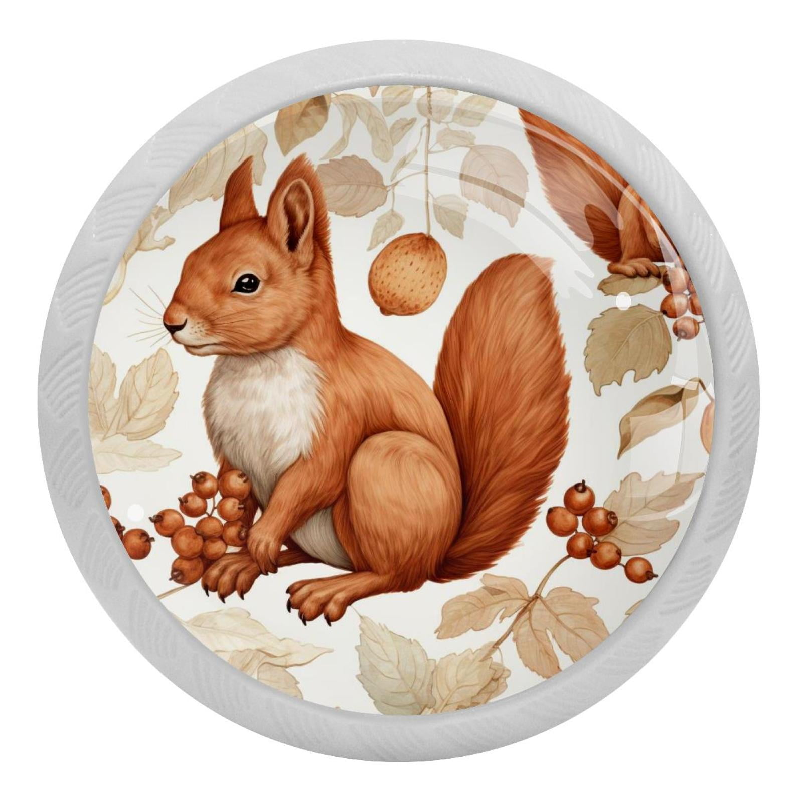 4 PCS Cute Squirrel Crystal Glass Round Cabinet Knob Drawer Pull Handle ...