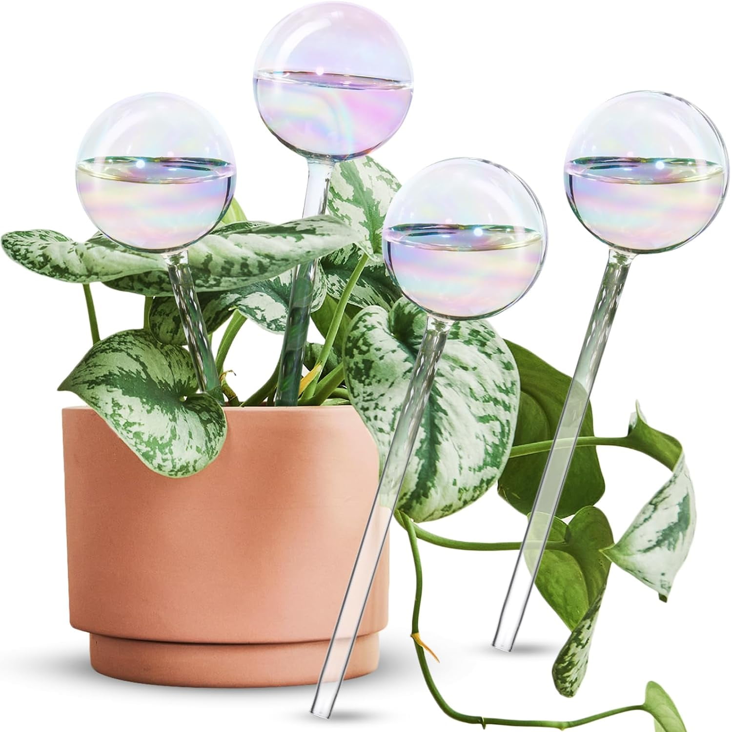 Tomorotec 4-Pack Rainbow Gradient Glass Self-Watering Globes, Automatic ...