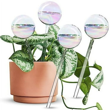 4pc Large Aqua Plant Glass Watering Globes - Watering Ball Bulbs ...