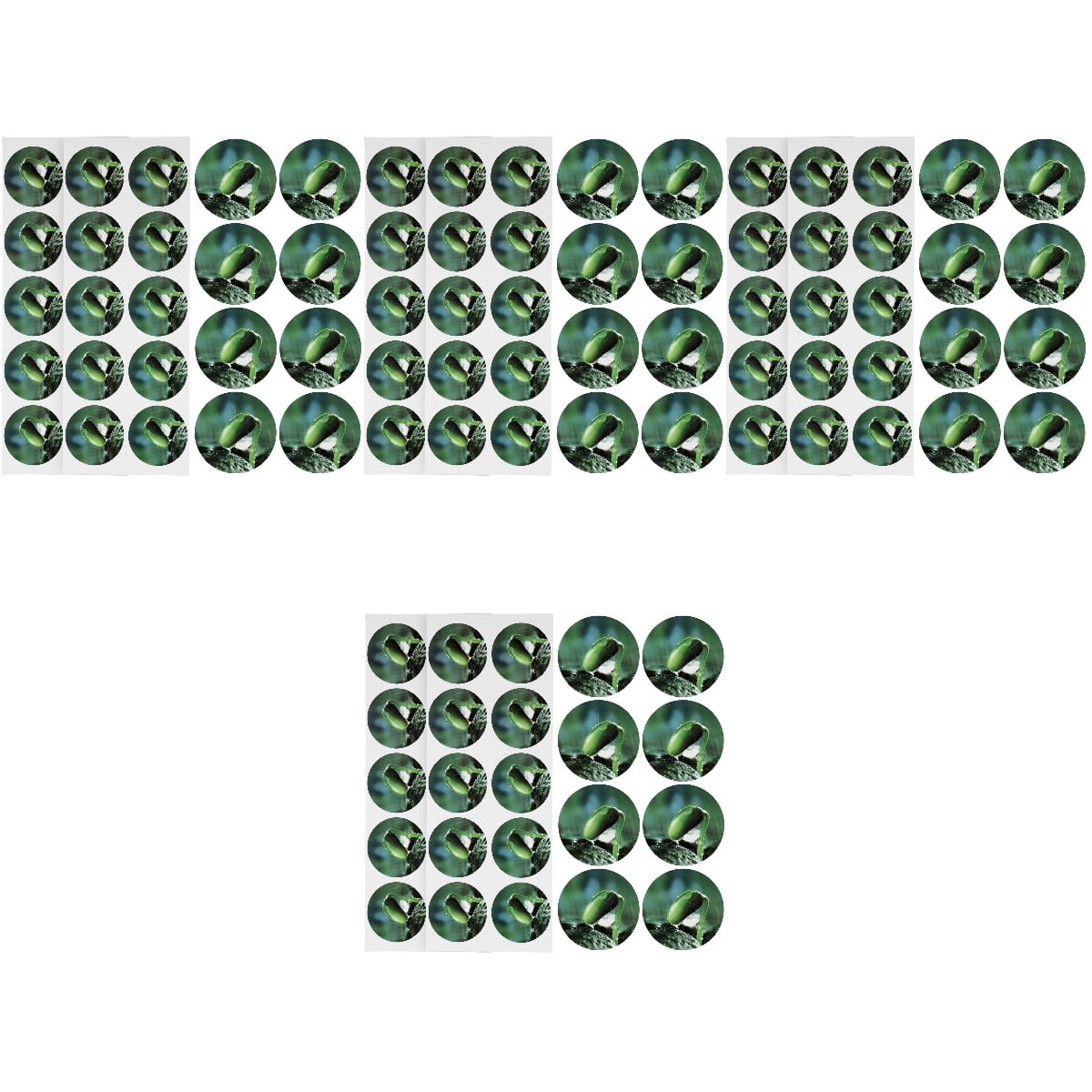 4 PCS Plants Label Sticker Hydroponics Growing System Mark Labels ...