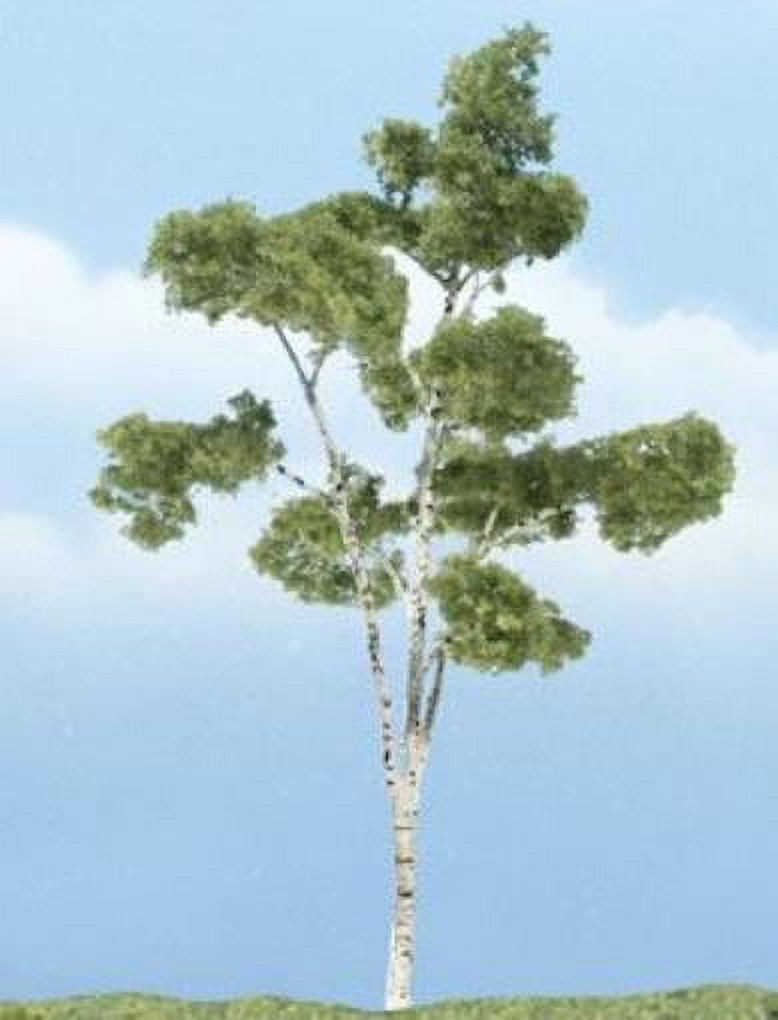 4" PREM PAPER BIRCH 1/PK - Walmart.com