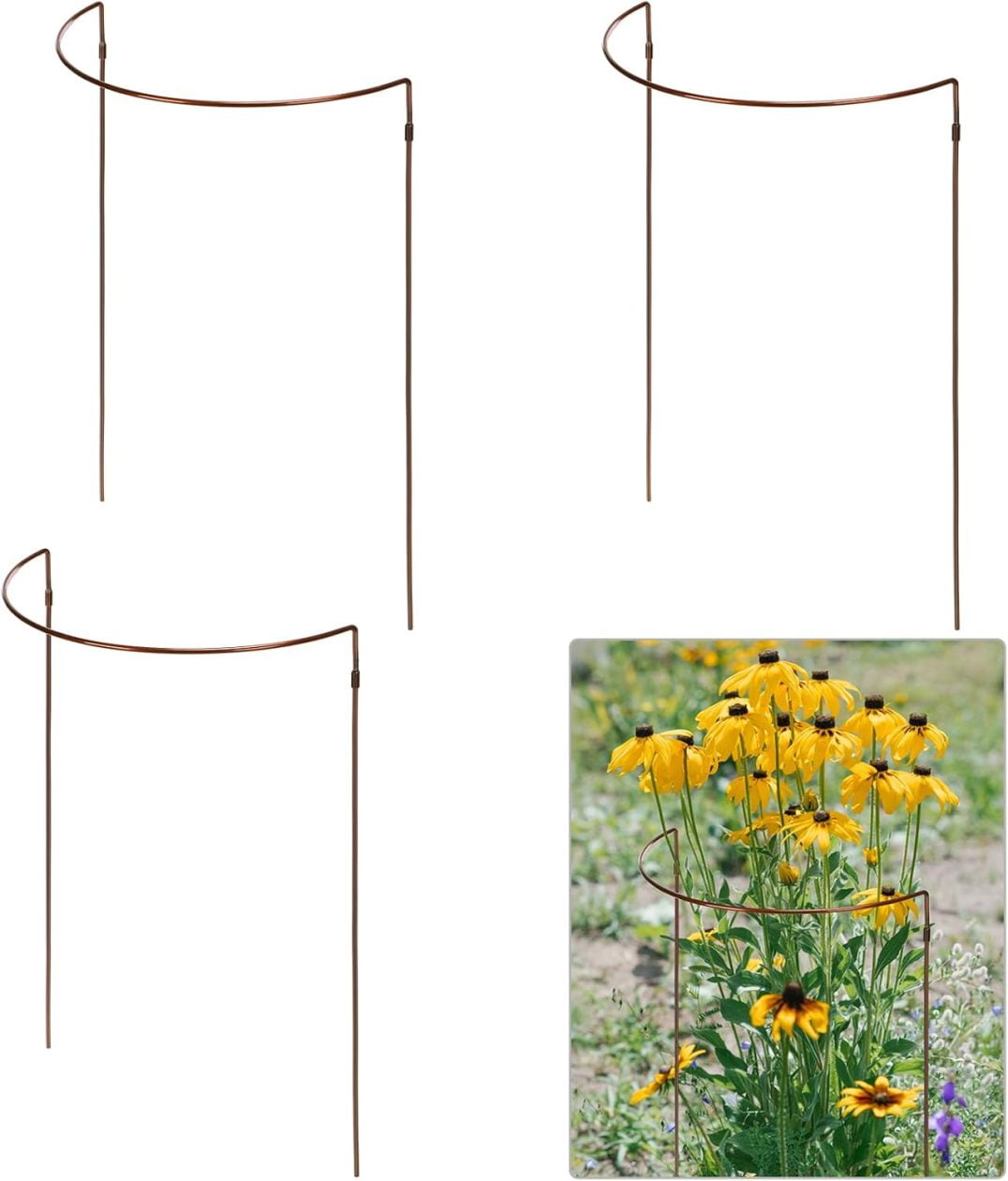 4 Pack 18" x 29" Half Round Plant Supports 1/4 Inch Diameter Heavy Duty ...