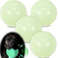 4-Pack 3.5" Glow Squeaky Balls,Bouncy Glow in The Dark Ball with ...