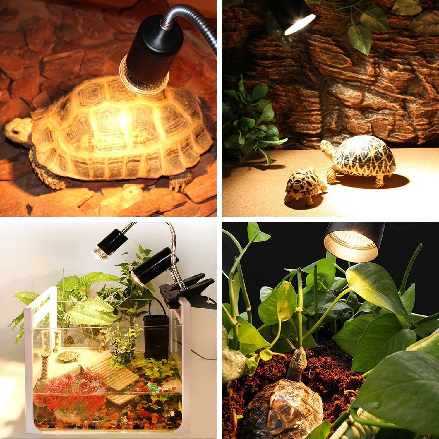 4 Pack 50W UVA+UVB Bulbs, Turtle Light Bulb, Reptile Heat Bulb for ...