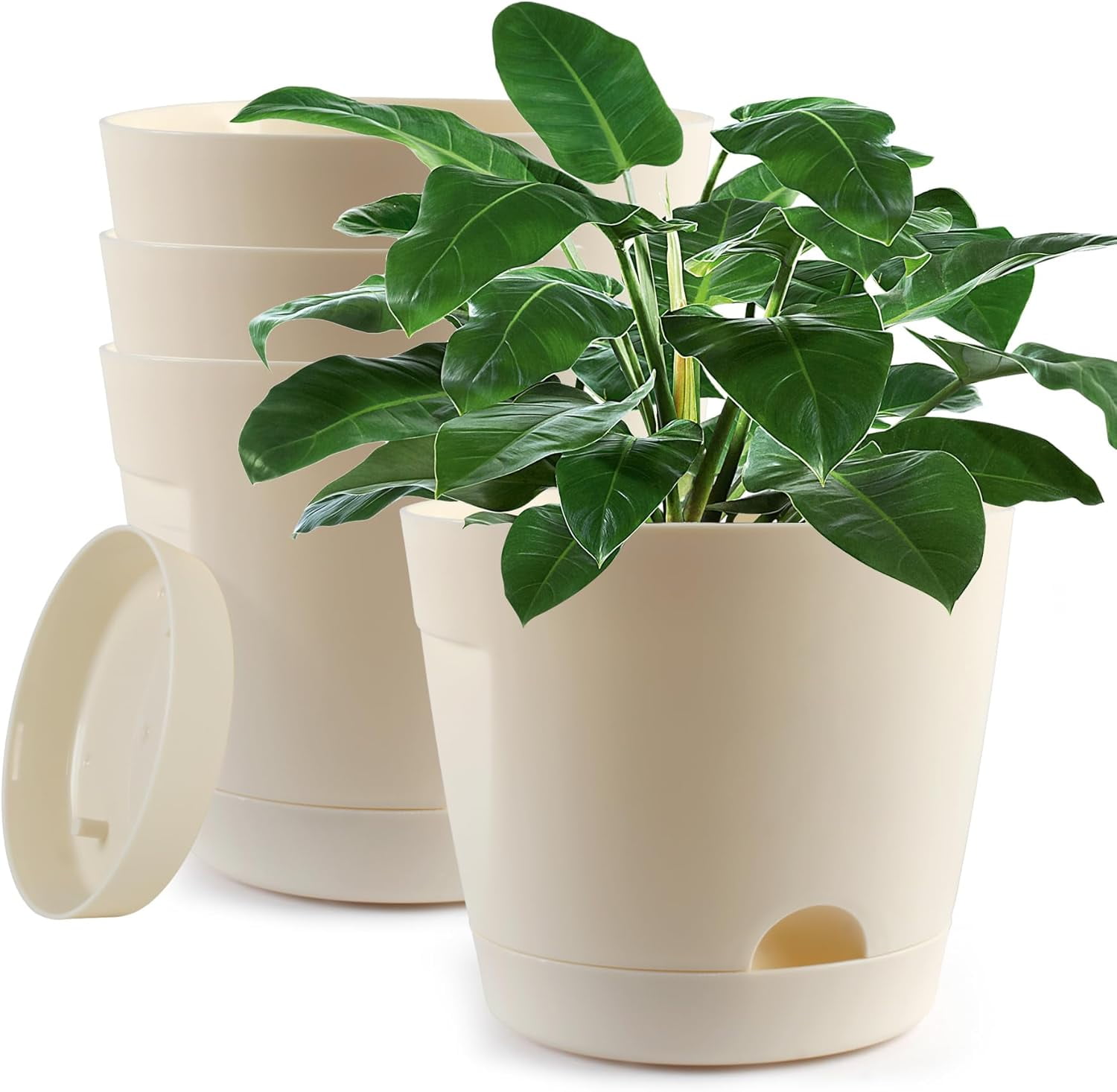 4 Pack 6 inch Pots for Plants, Self Watering Pots for Indoor Plants ...