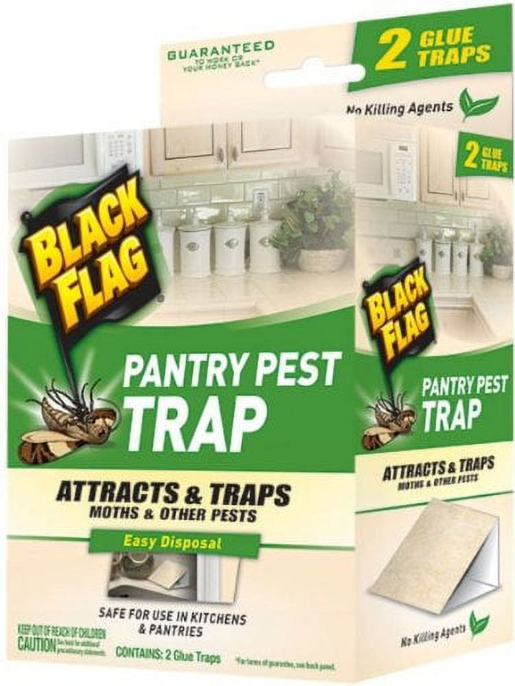 Black Flag Pantry Moth Traps, 8 Total Glue Traps for Indoors, Kitchens ...