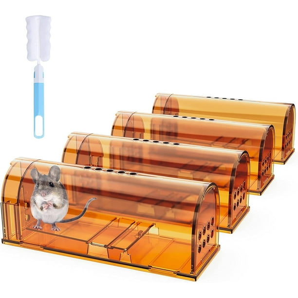 Treamon 4 Pack Brown Humane Live Mouse Traps Indoor for Home, Reusable ...