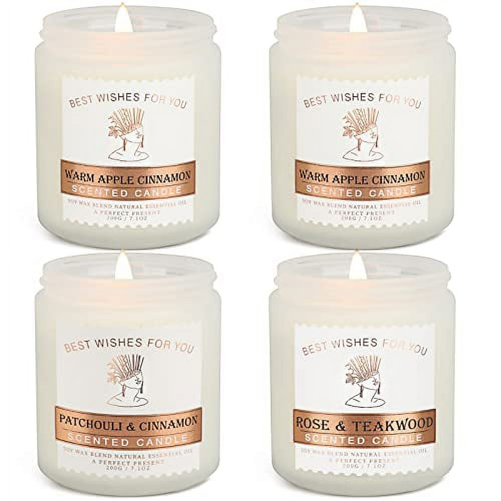 4 Pack Candles for Home Scented, Apple Cinnamon Candle, Aromatherapy ...
