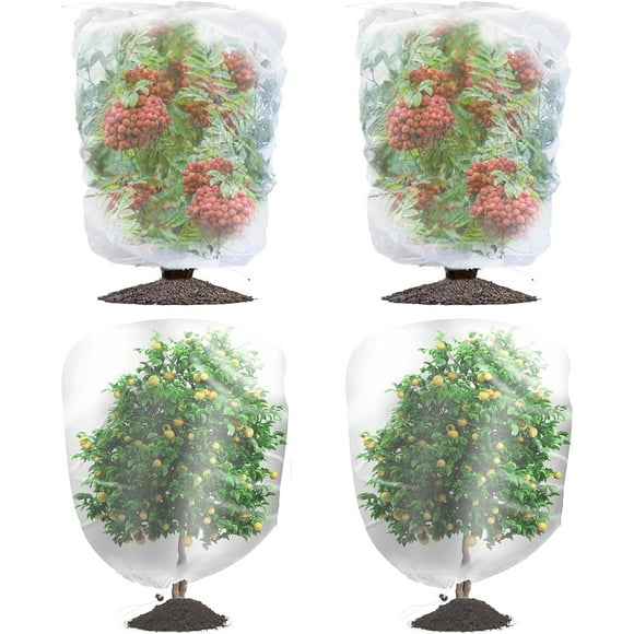 Blueberry Bush Protection