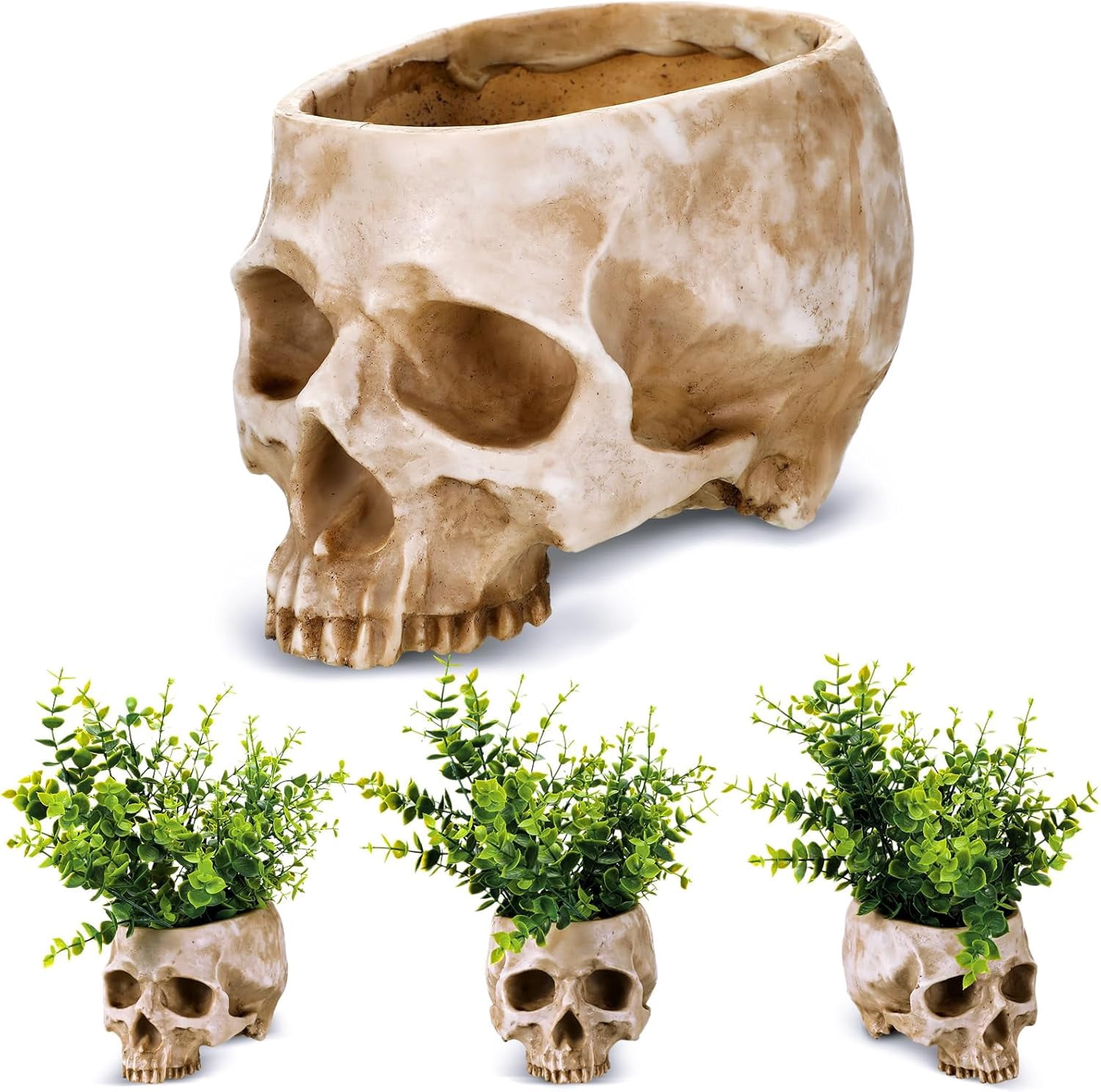 4 Pack Halloween Decoration Skull Planter Pot Resin Skull Shaped Head ...
