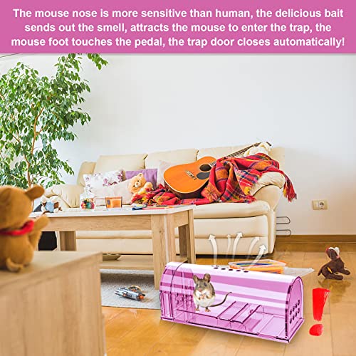 4 Pack Humane Mouse Traps No Kill, Live Mouse Traps Indoor, Reusable ...