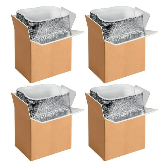 Foam Insulated Shipping Boxes