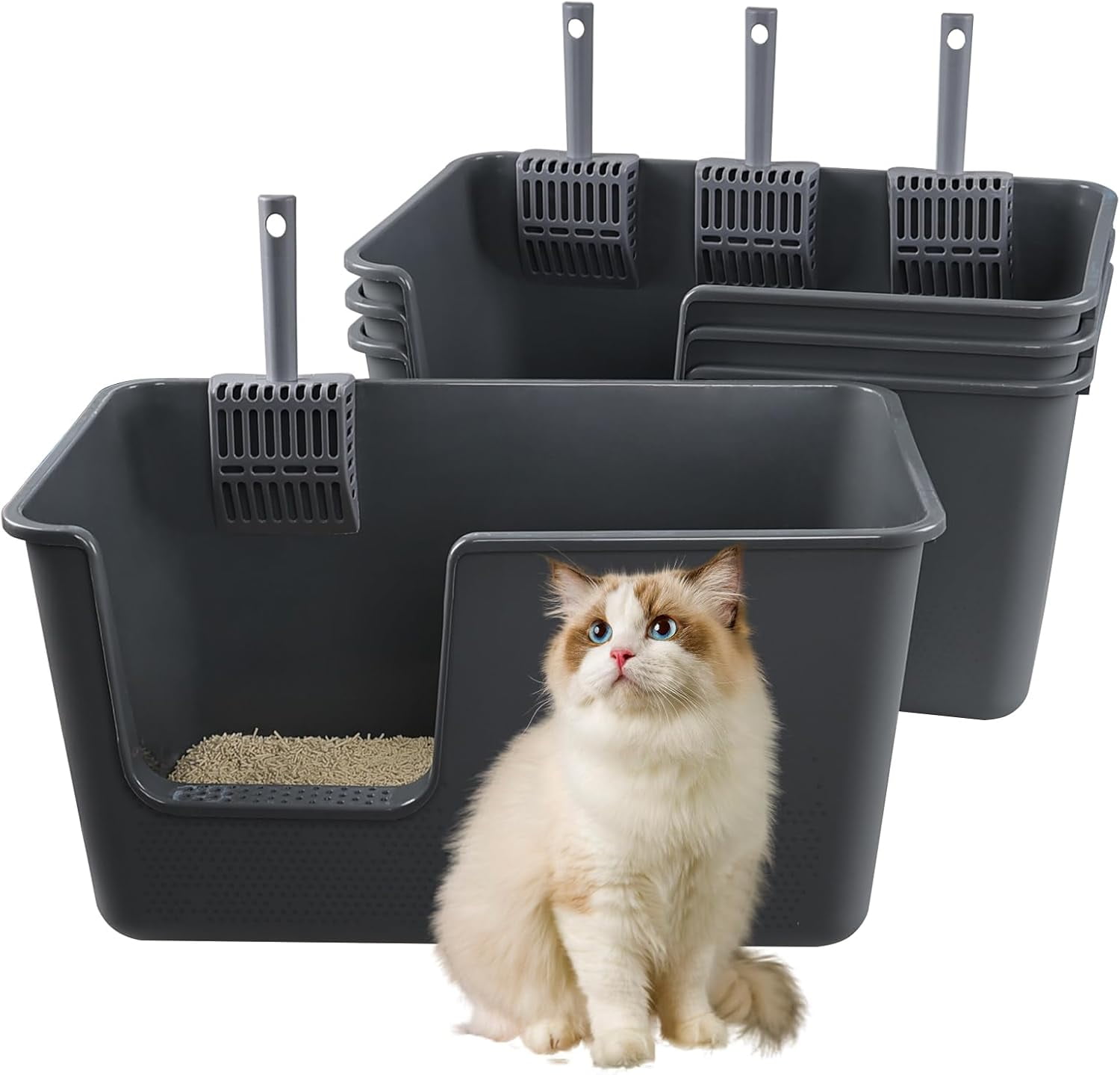 4-Pack Large Open High Sided Cat Litter Box, Anti-Splashing Kitty ...