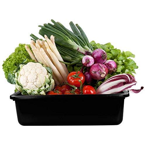 4-Pack Large Plastic Commercial Bus Tubs, 22 L Rectangle Utility Bus ...