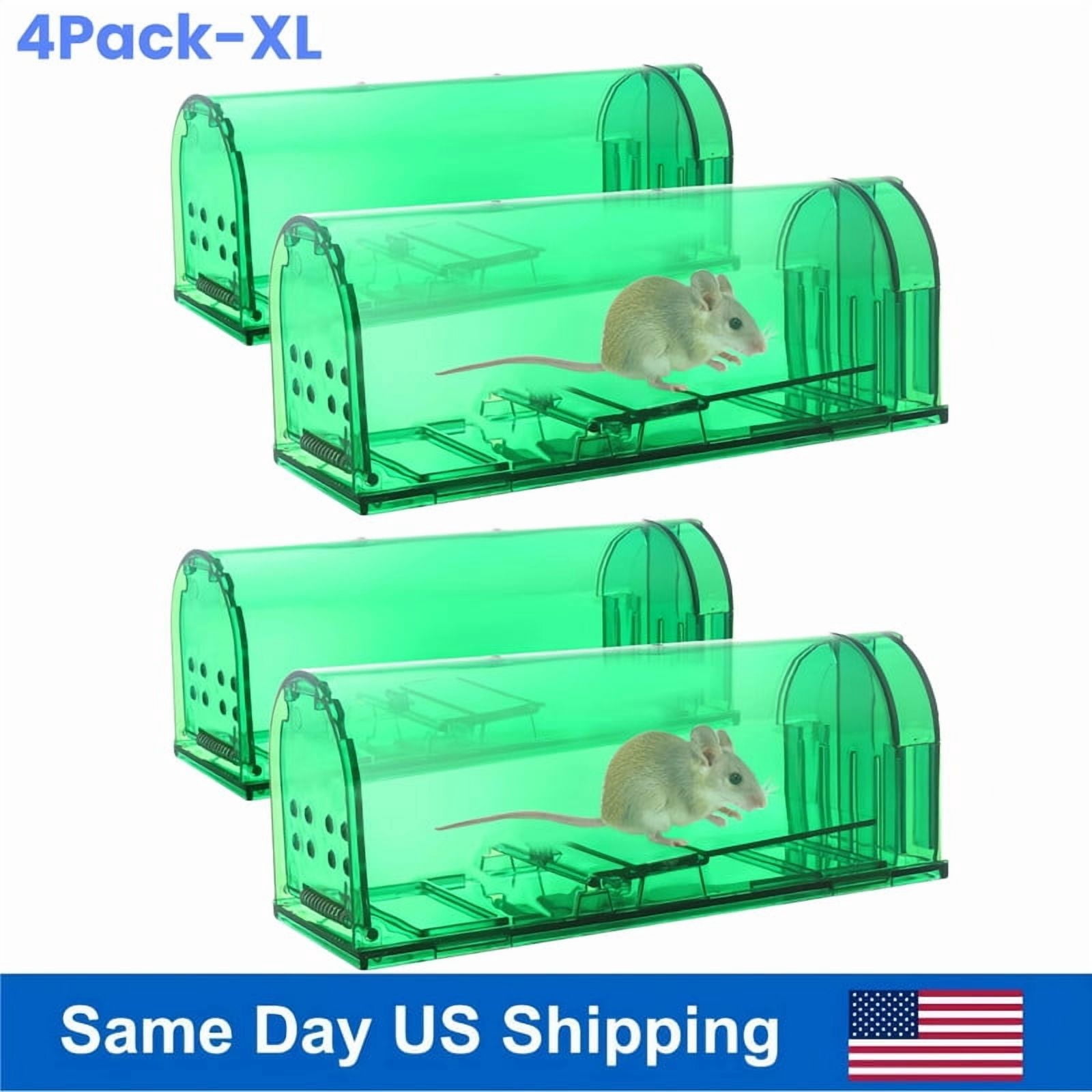 4-Pack Live Mouse Trap, Humane Catch & Release, No-Kill Design, Easy ...
