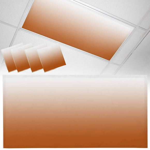 2x4 Fluorescent Light Fixture Lens