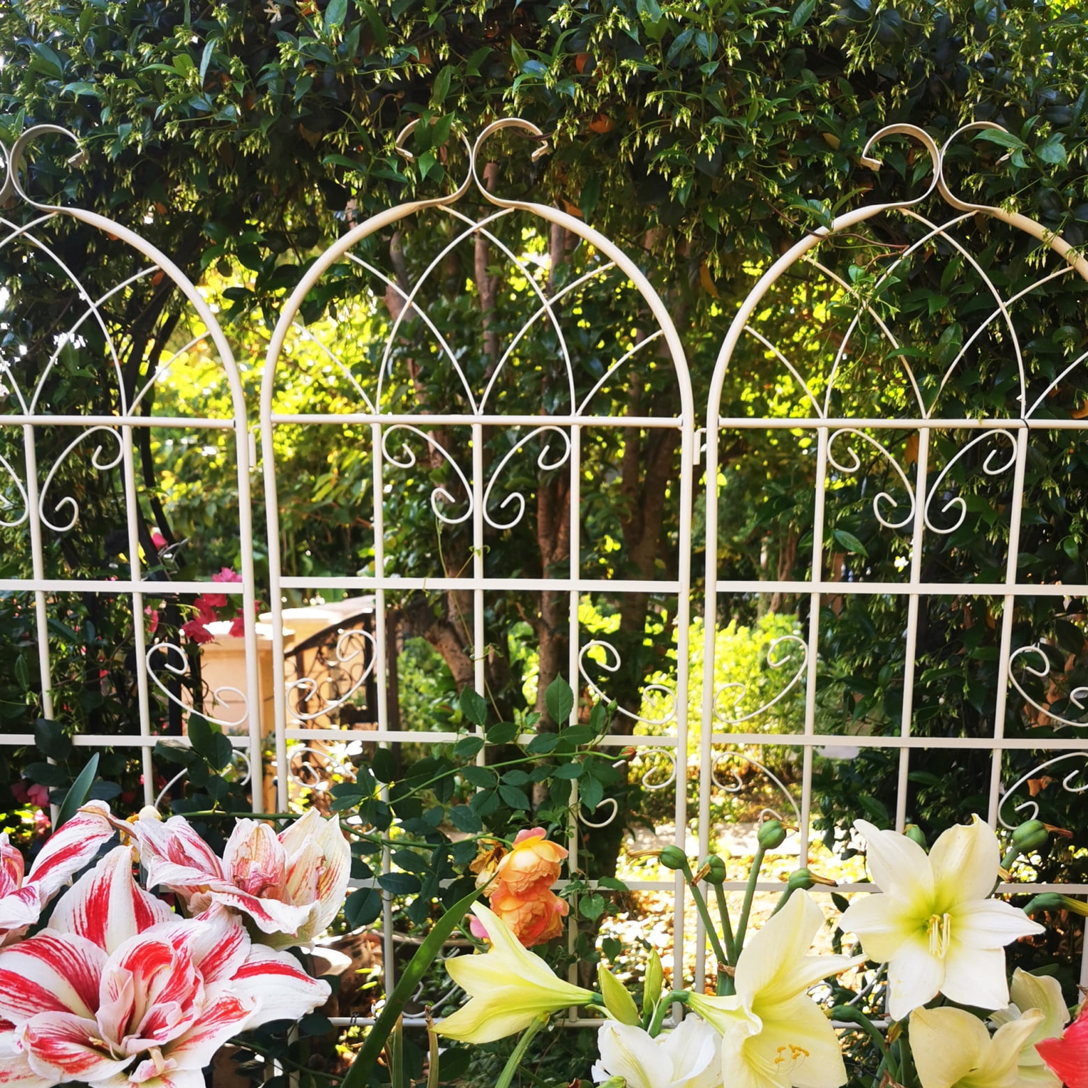 4 Pack Metal Garden Trellis 71"H x 19.7"W Rustproof Outdoor Plant ...