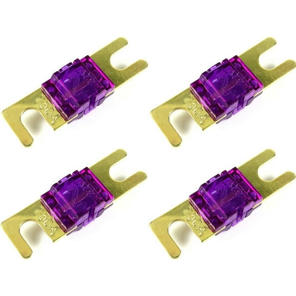 50 Amp Fuse