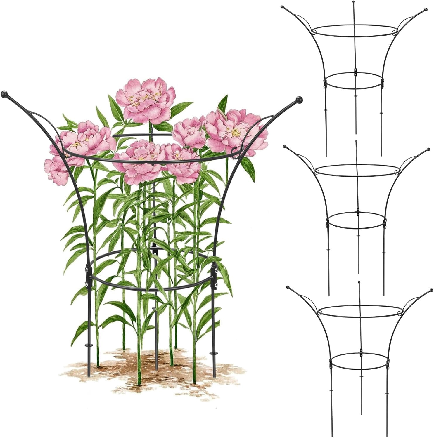 4 Pack Peony Cages and Supports Cages 13" D x 22.8" H Heavy Duty Metal ...
