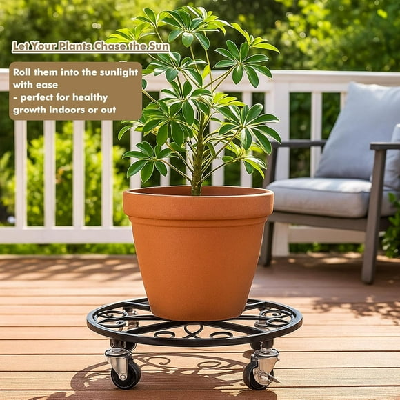 zouyizhenghao - Walmart.com