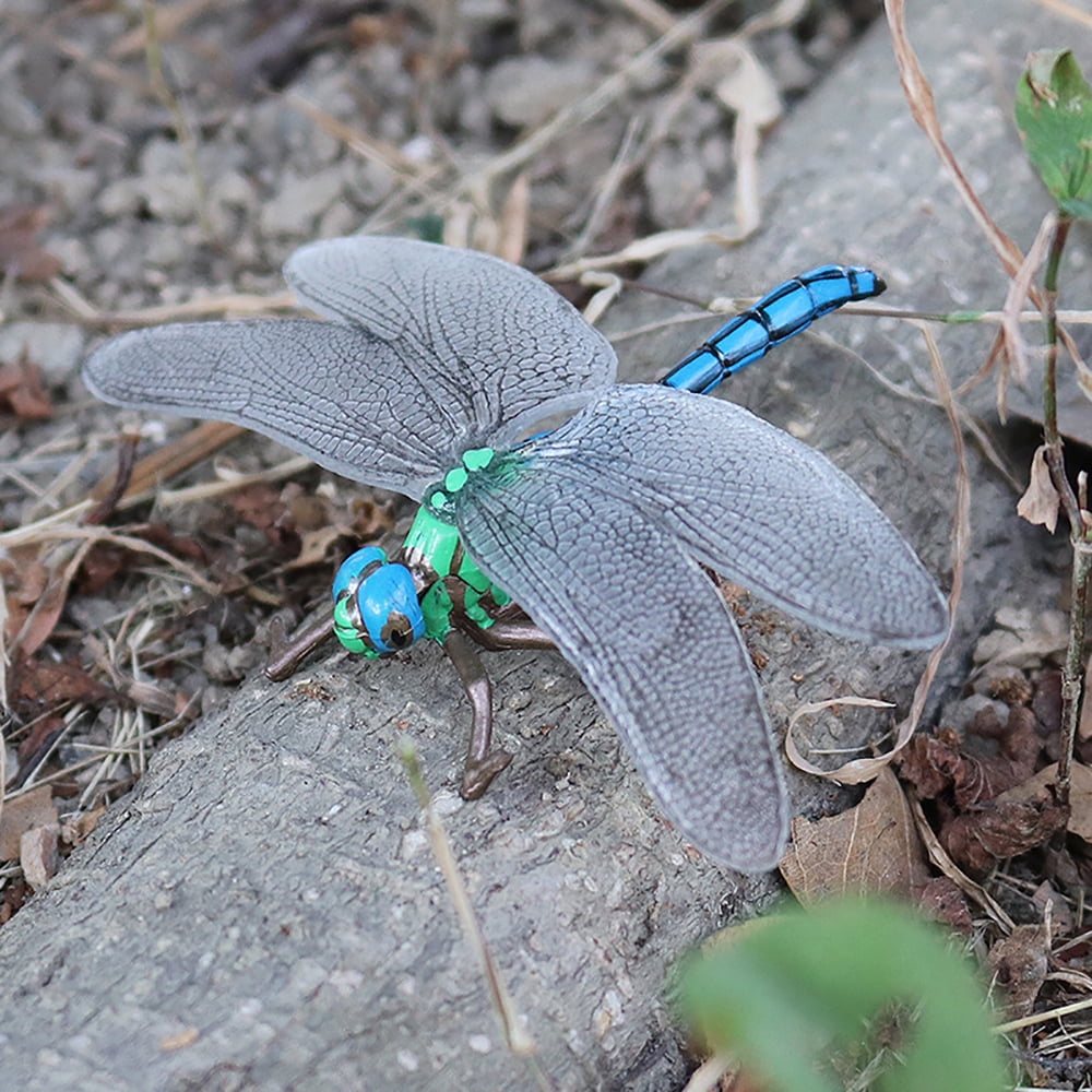 4-Pack Realistic Insect Model, Realistic Dragonfly Figurine Toy, Garden ...