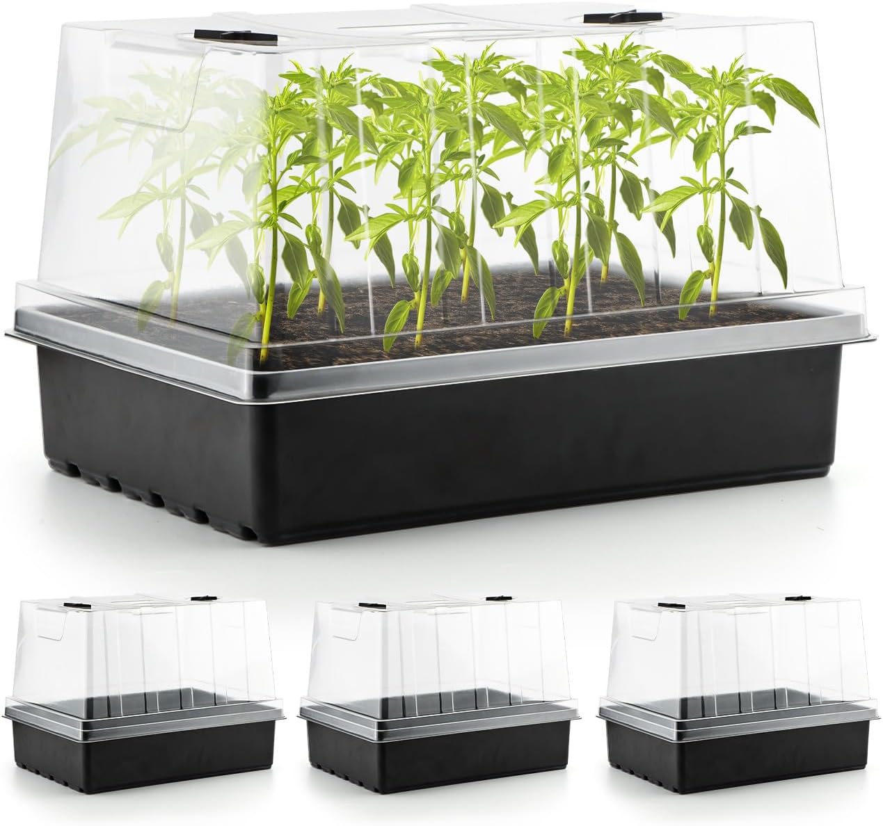 4-Pack Seed Starter Trays with 5'' Tall Humidity Domes – Reusable Plant ...