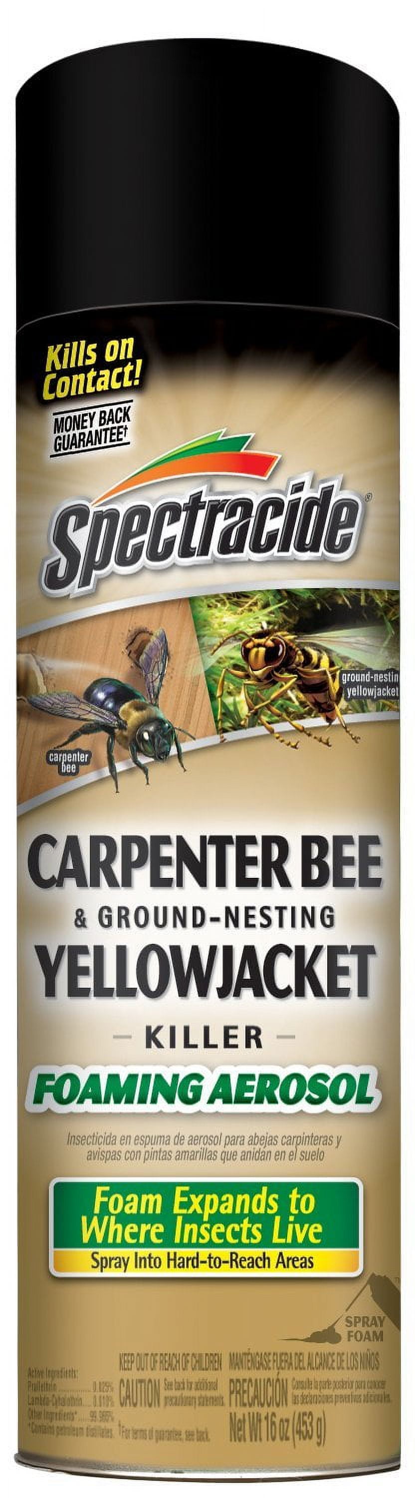 4 Pack Spectracide Carpenter Bee Spray, Yellowjacket Killer, 16oz Foam ...