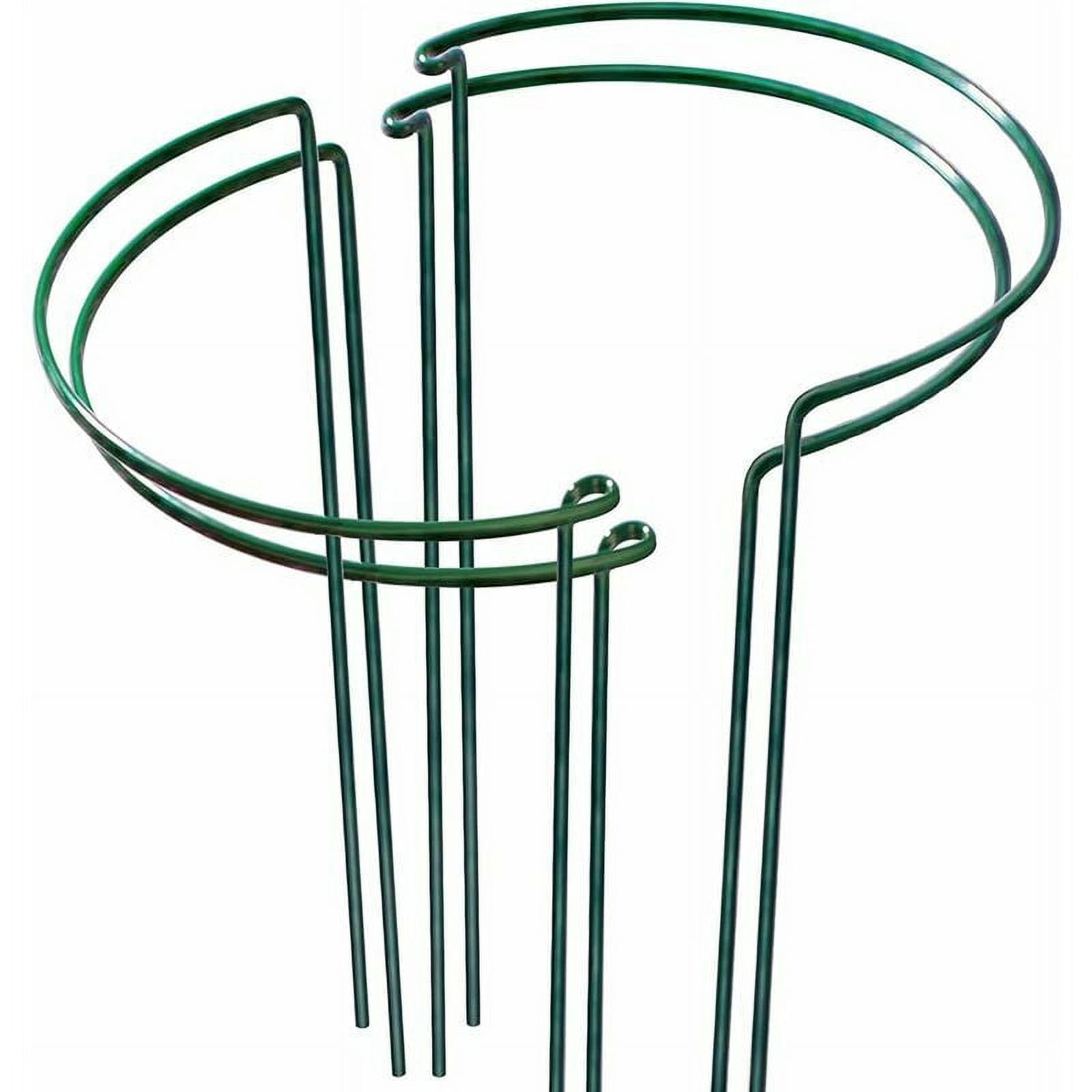 4 Pack Sturdy Metal Plant Support Garden Plant Cage Plant Stake for ...