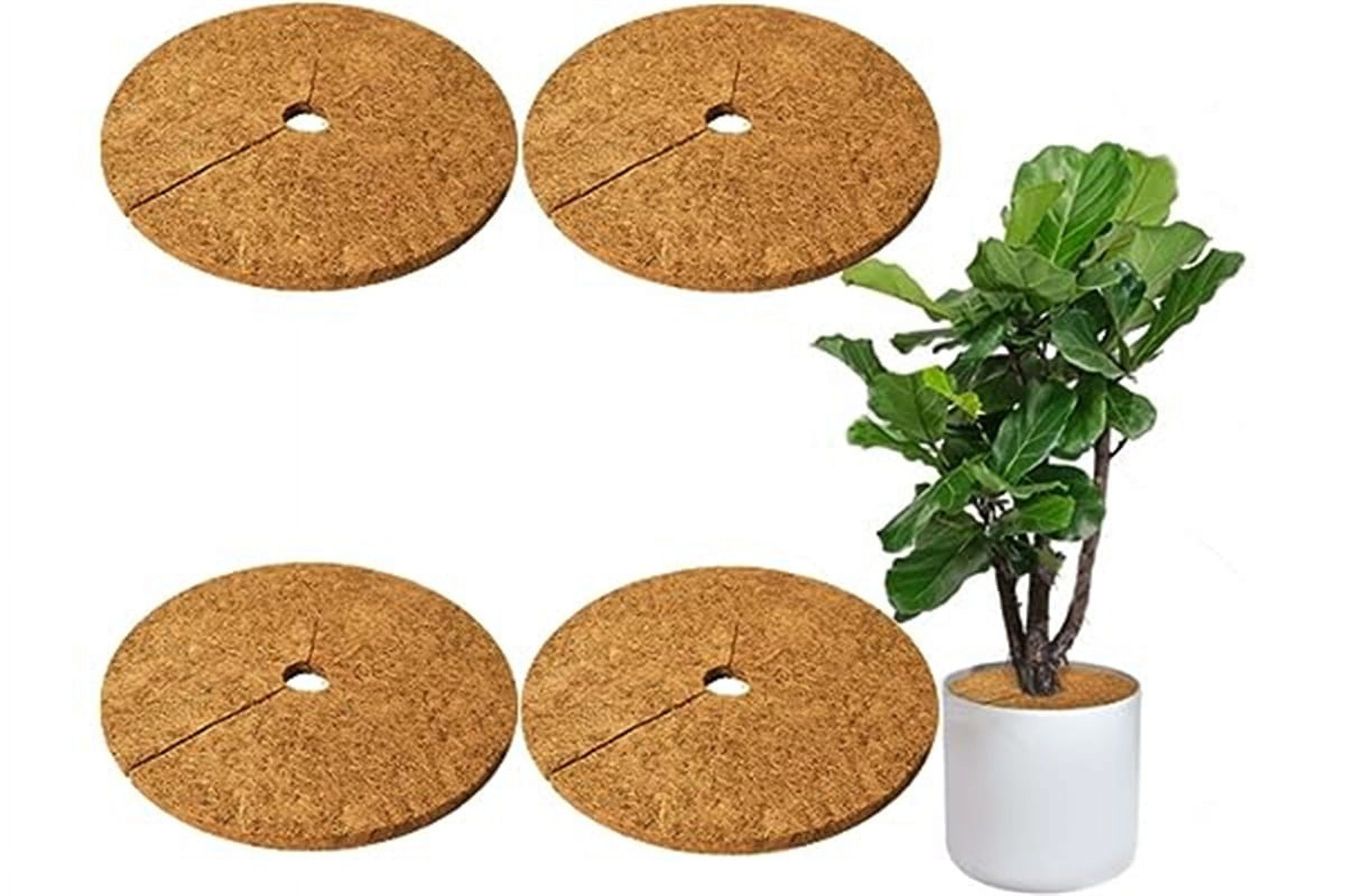 4 Pack Tree Protector Mat,Coconut Fiber Tree Retaining Ring,Natural ...