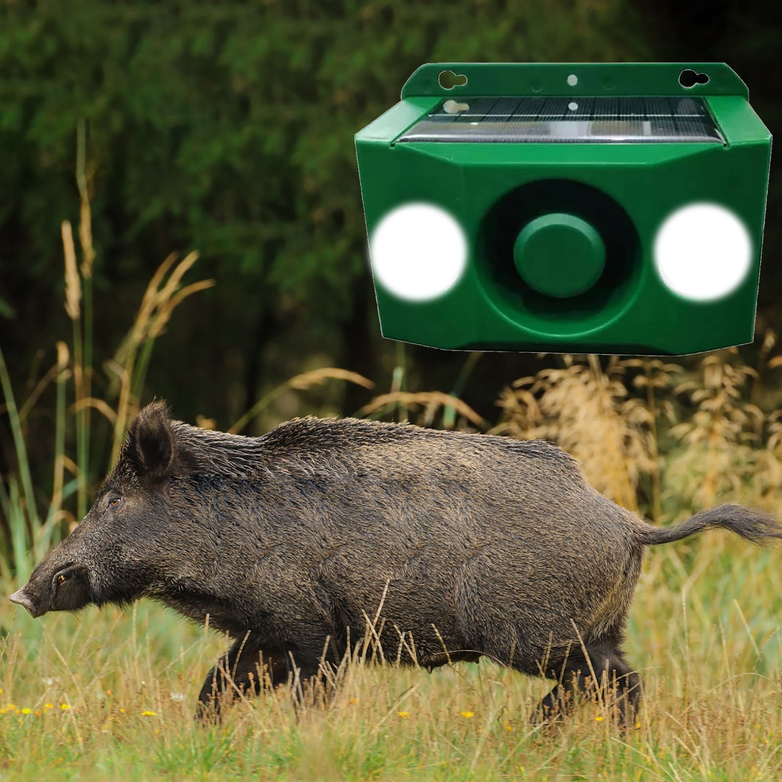 4 Pack Upgraded Solar Nocturnal Animal Repeller,Solar Predator Control ...