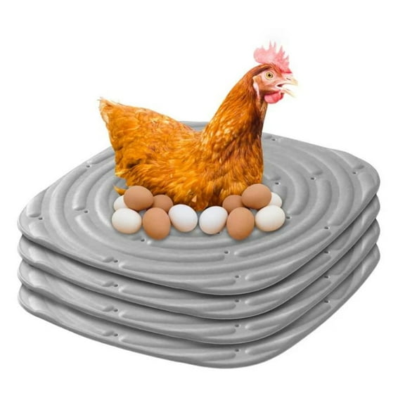 Chicken Brood Box
