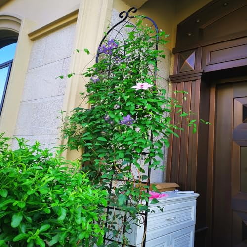 4 Pack of Black Metal Garden Trellis, Climbing Plant Metal Garden ...