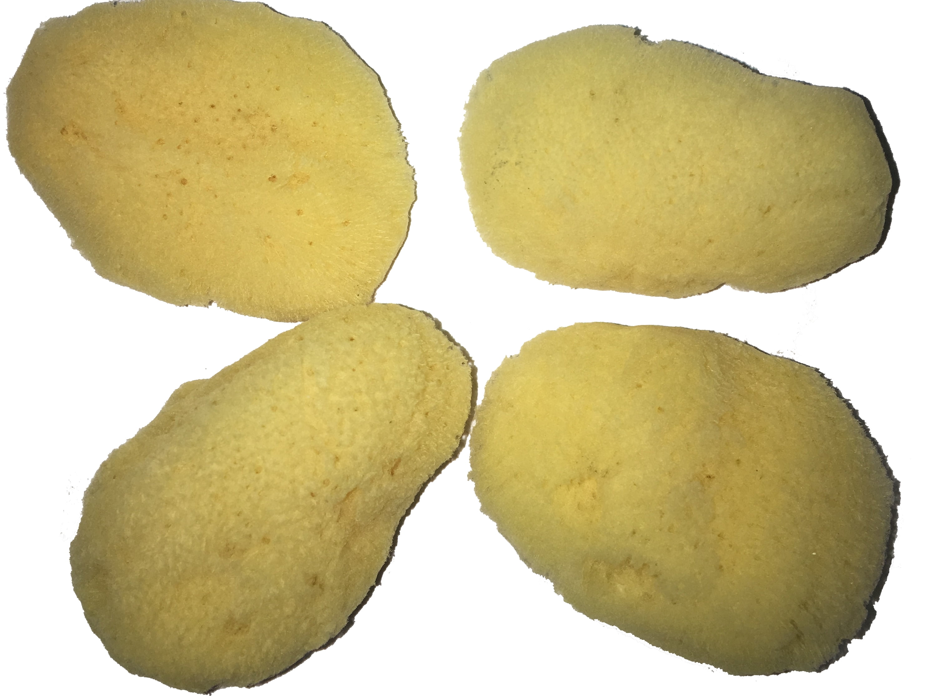 4-Pack of Jumbo Hermit Crab Sea Sponges (All Natural Hermit Crab Sponge ...