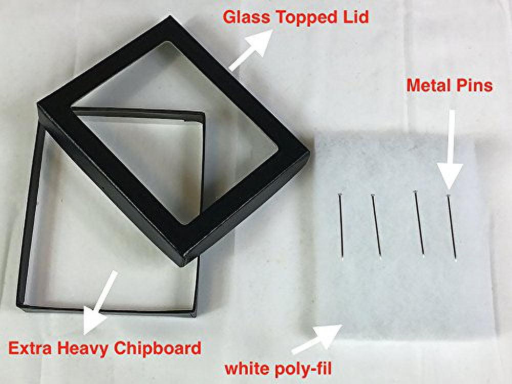 4 Pack of Riker Display Cases 8 x 12 x 2 for Collectibles Arrowheads ...