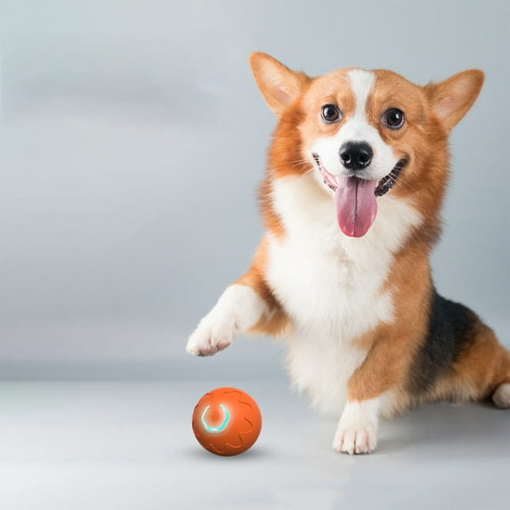 4 Packs Interactive Dog Toy Bouncing Ball with Auto-Avoidance and LED ...