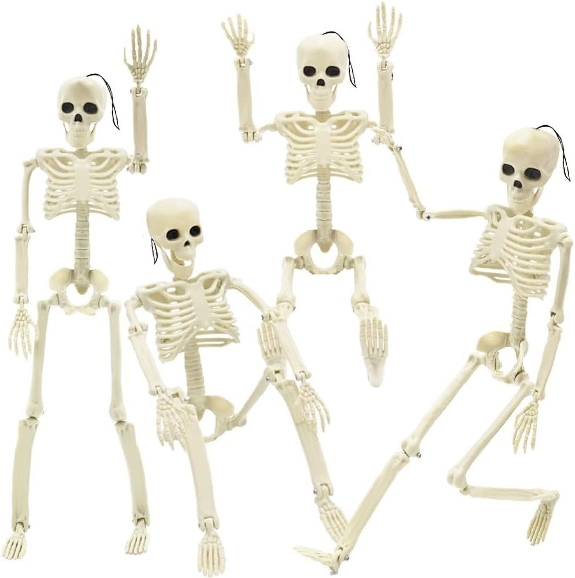 4 Packs Posable Halloween Skeleton, Full Body Skeleton Decoration ...