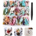 4 Packs Real Natural Dried Flowers for Making Mobile Phone Case Candle ...