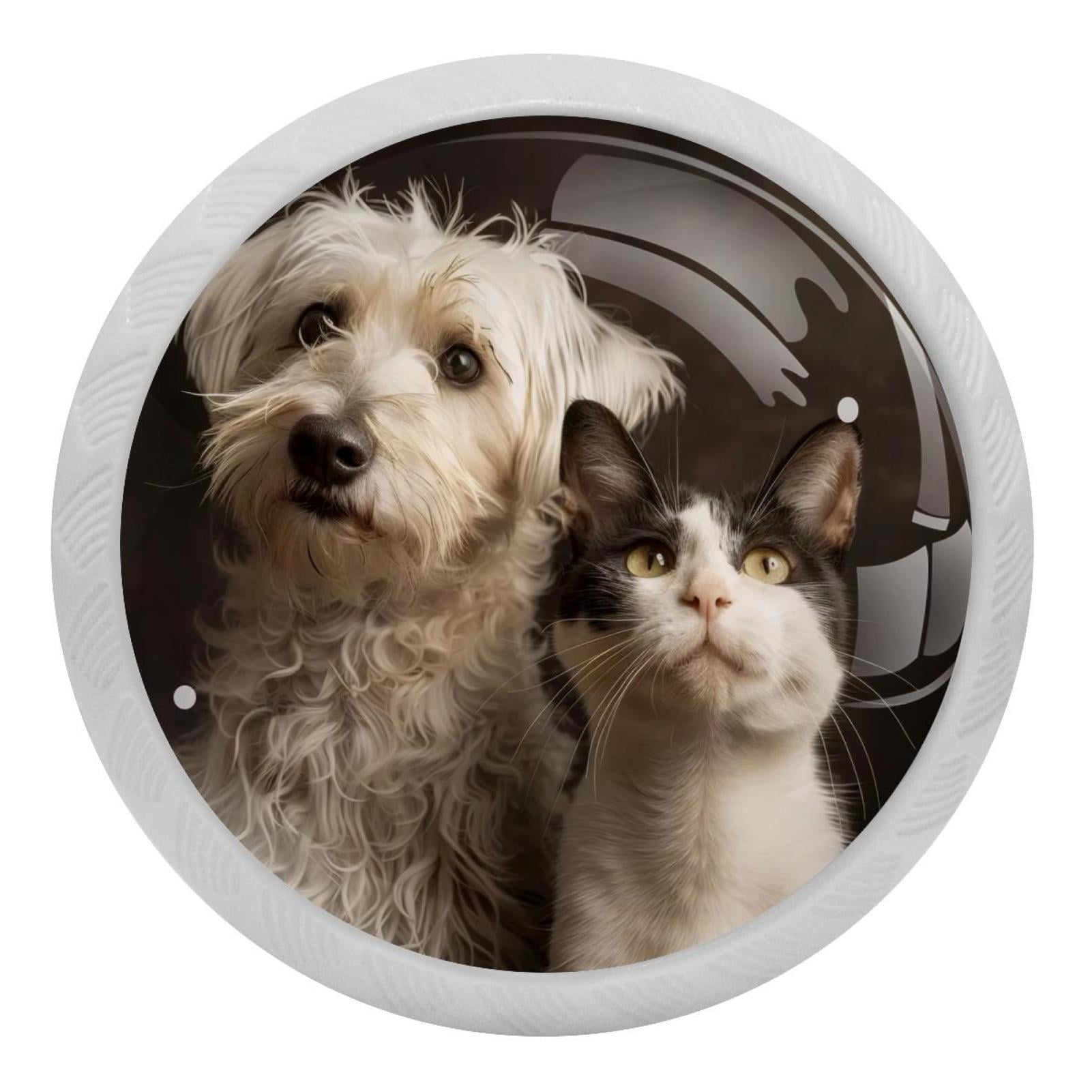 4 Packs White Yorkshire Terrier and Cat Crystal Glass Cabinet Knobs ...