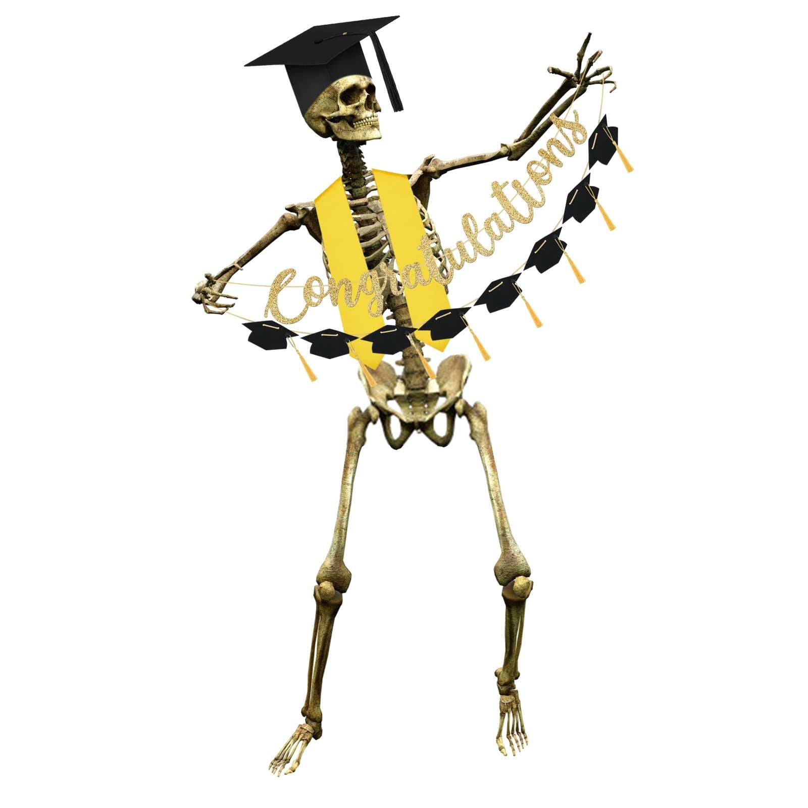 4 Pcs 12 ft Skeleton Accessories Graduation Cap Stole and ...