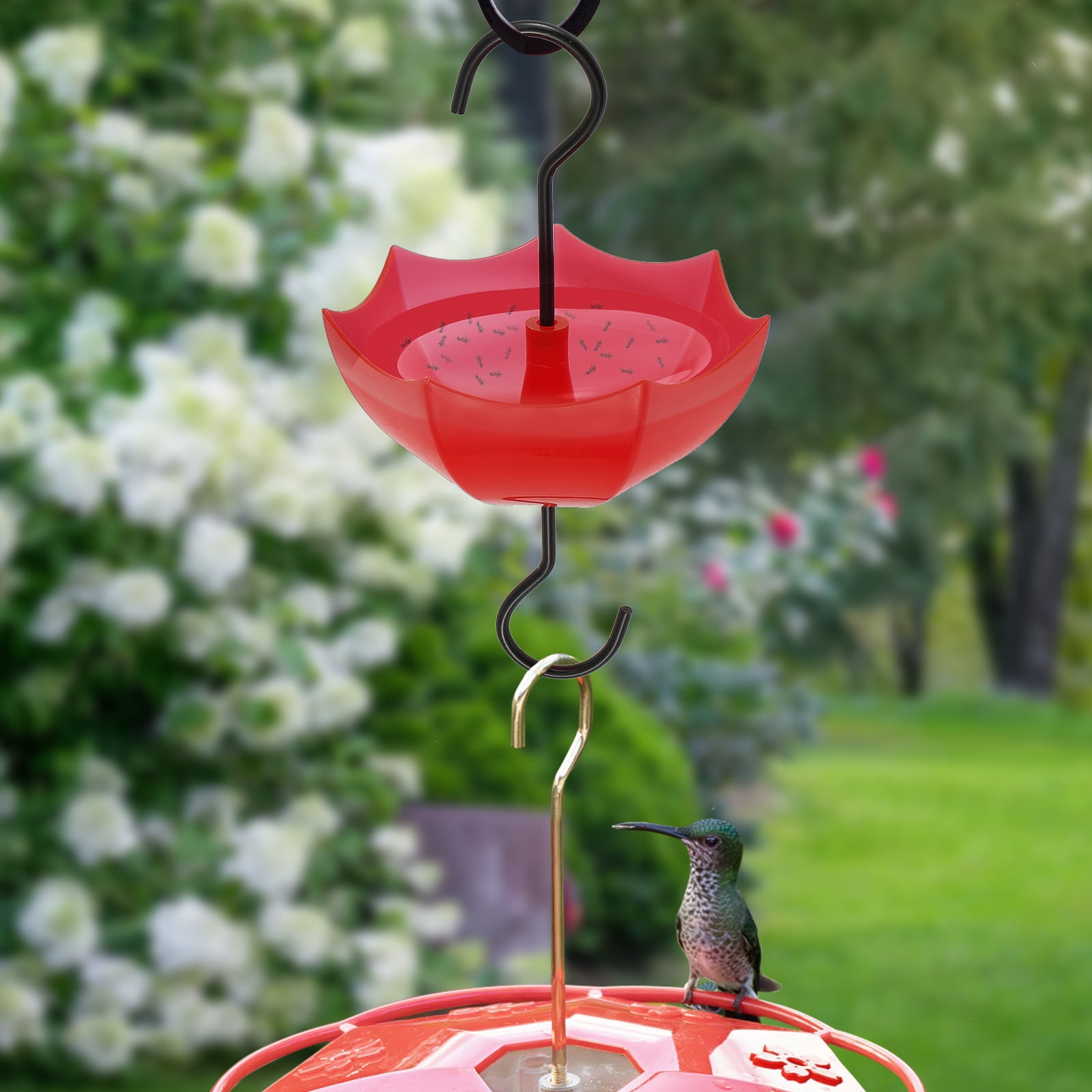 4 Pcs Ant Moat for Hummingbird Feeders 5 OZ Large Capacity Hummingbird ...
